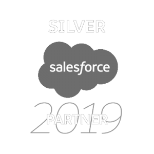 Salesforce Platform Development and Implementation | Polytech Software